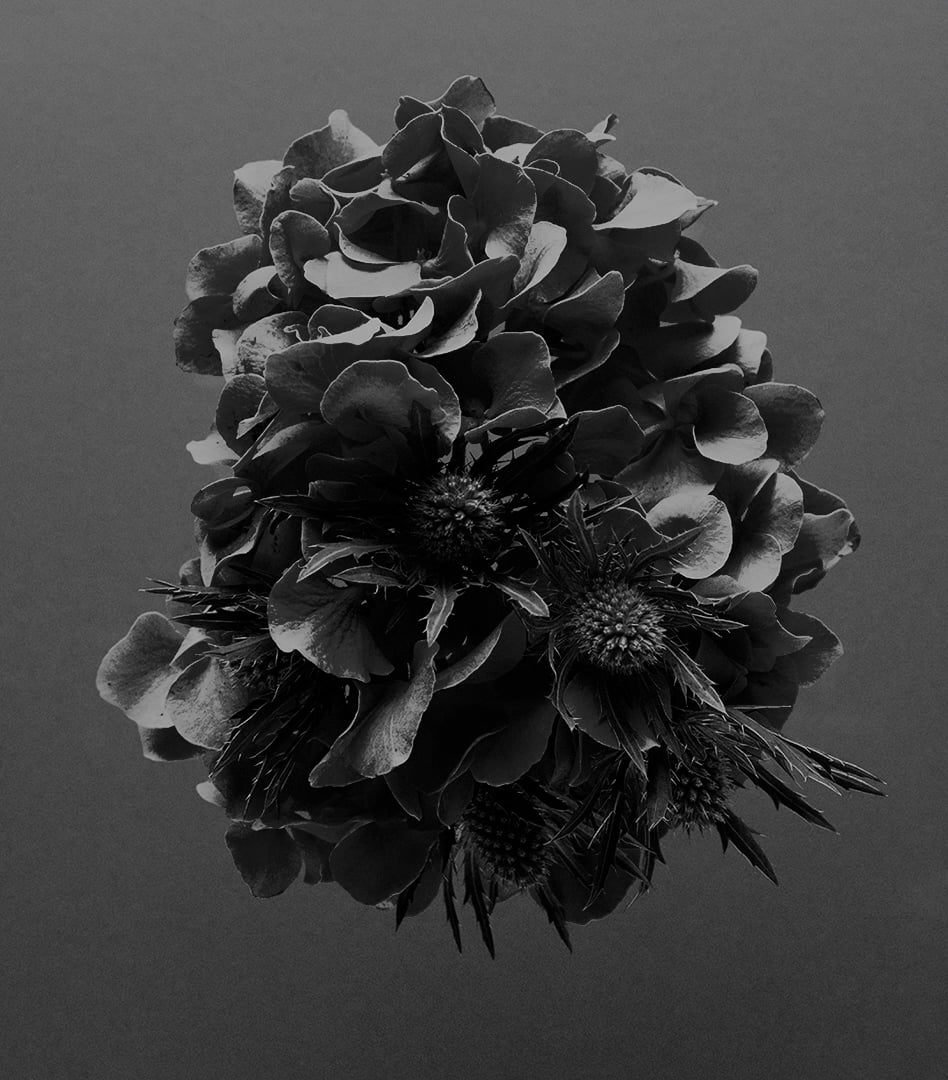 FLOWER_PULSE_2 on Vimeo