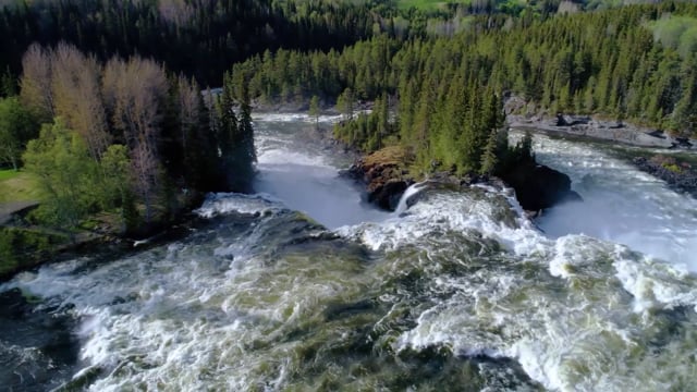 60+ Free Ecosystems & Ecosystem Videos, HD & 4K Clips - Pixabay