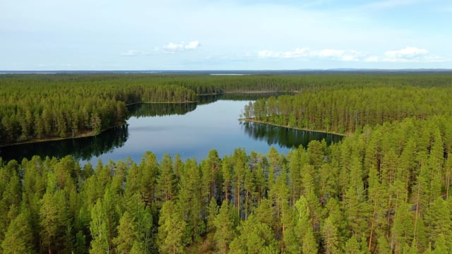 60+ Free Ecosystems & Ecosystem Videos, HD & 4K Clips - Pixabay