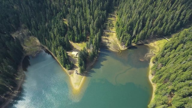 60+ Free Ecosystems & Ecosystem Videos, HD & 4K Clips - Pixabay