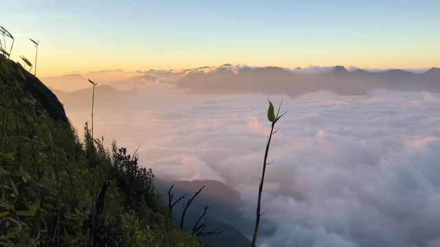 Climbing Conquering Mountain Peaks Free Stock Video - Pixabay