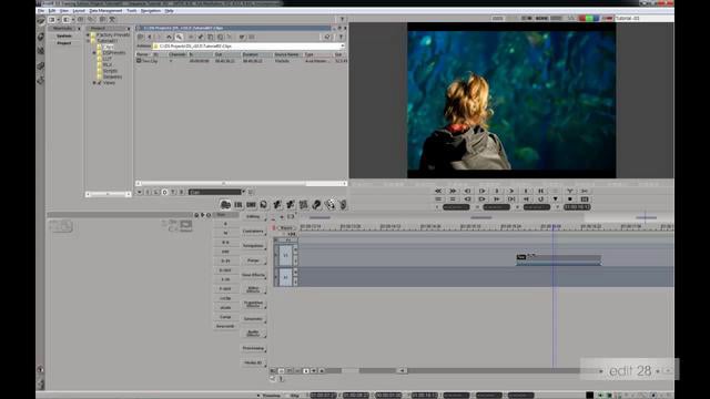 Avid DS Tutorial - Doing Text FAST on Vimeo