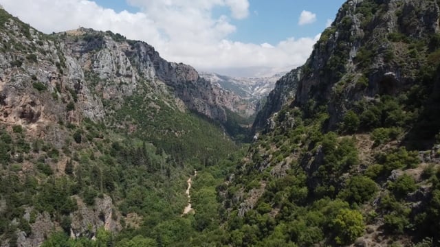 Lebanon Videos: Download 48+ Free 4K & HD Stock Footage Clips - Pixabay