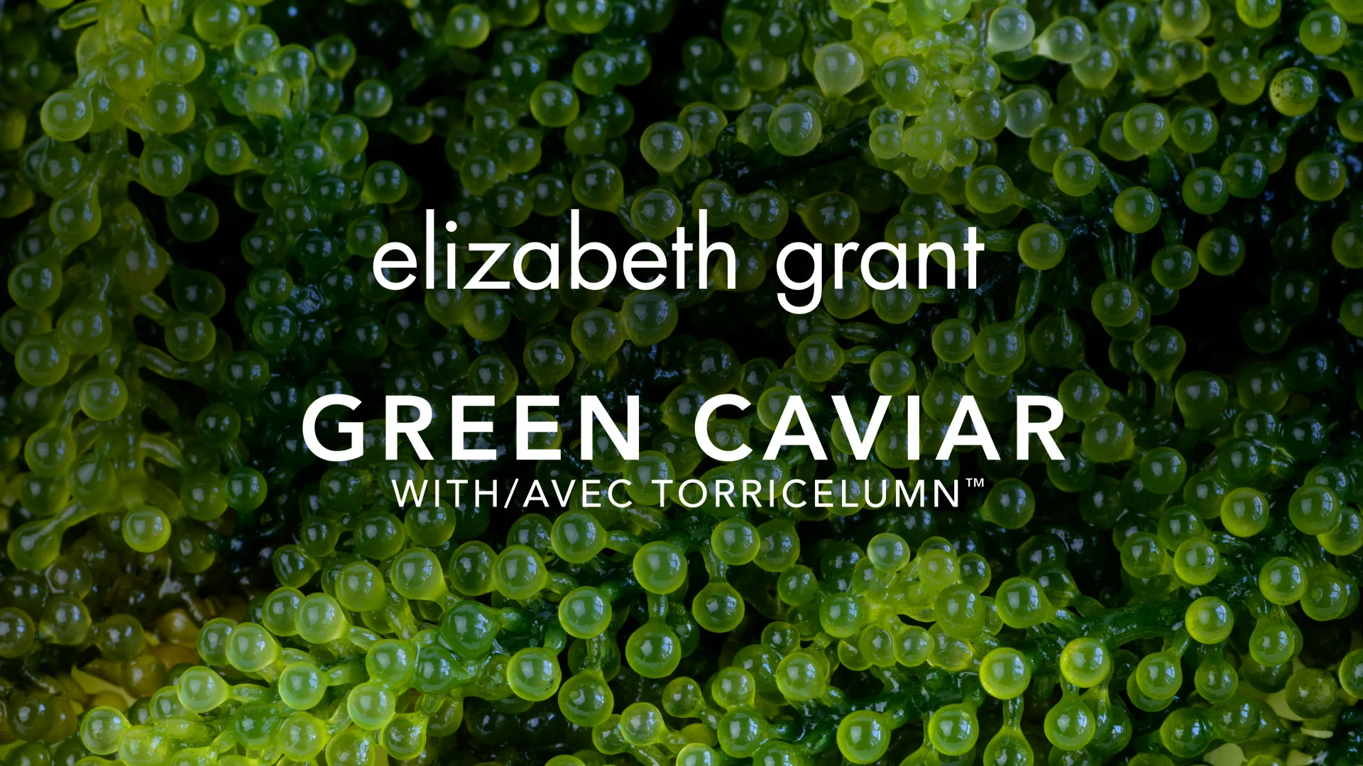 Elizabeth Grant: Green Caviar animation (English version) on Vimeo
