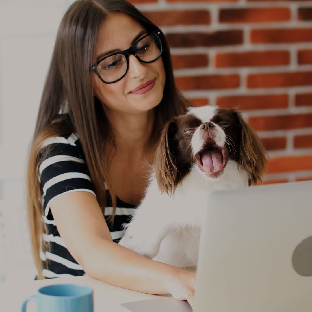 Synchrony Bring Call Center on Vimeo