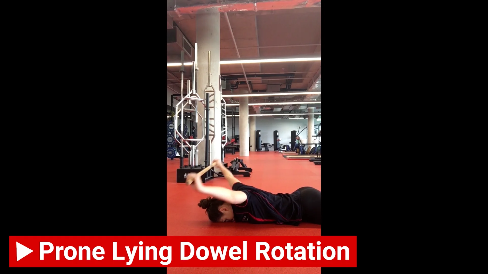 Prone Lying Dowel Rotations.mp4