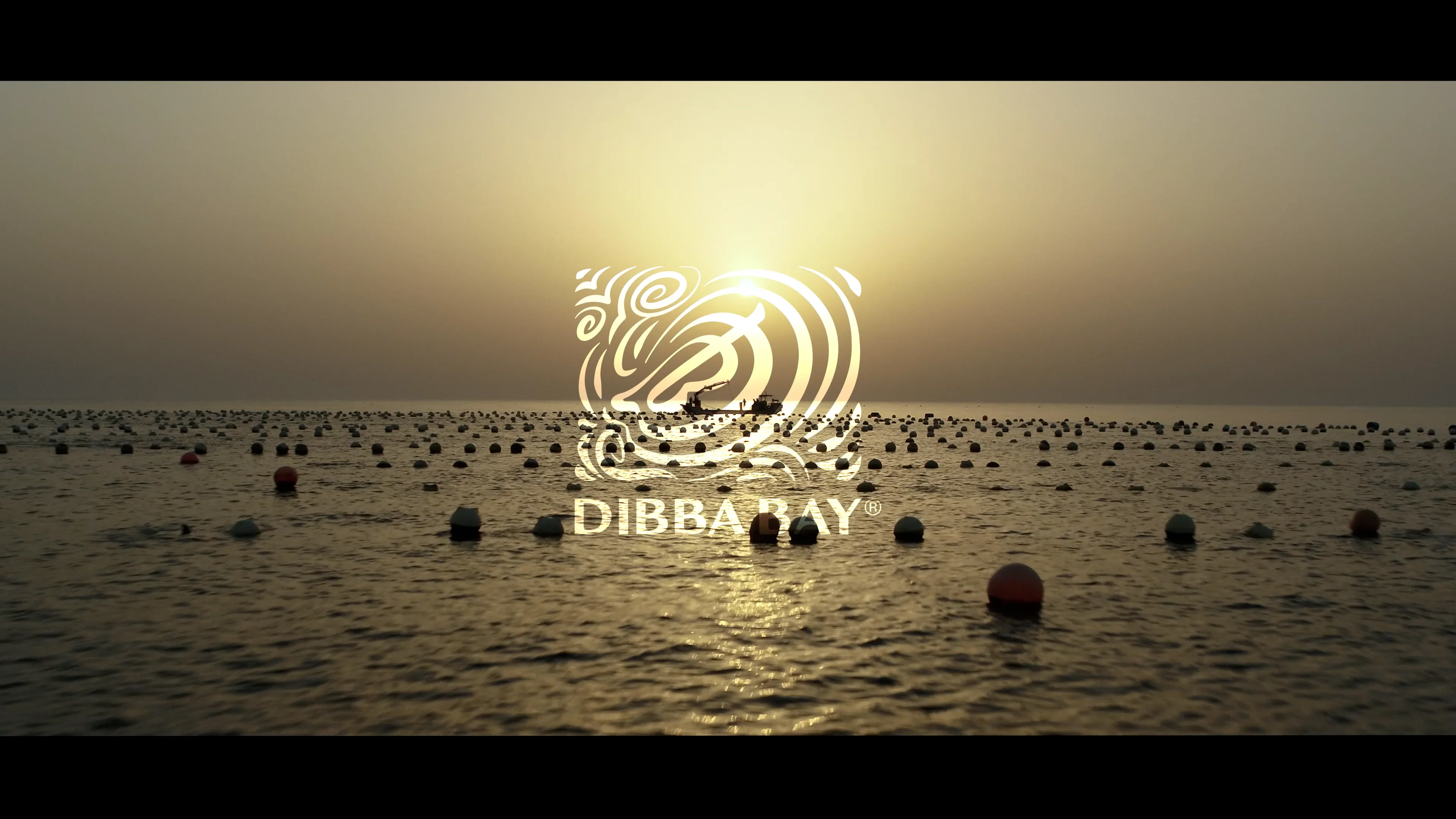 Dibba Bay Oysters on Vimeo