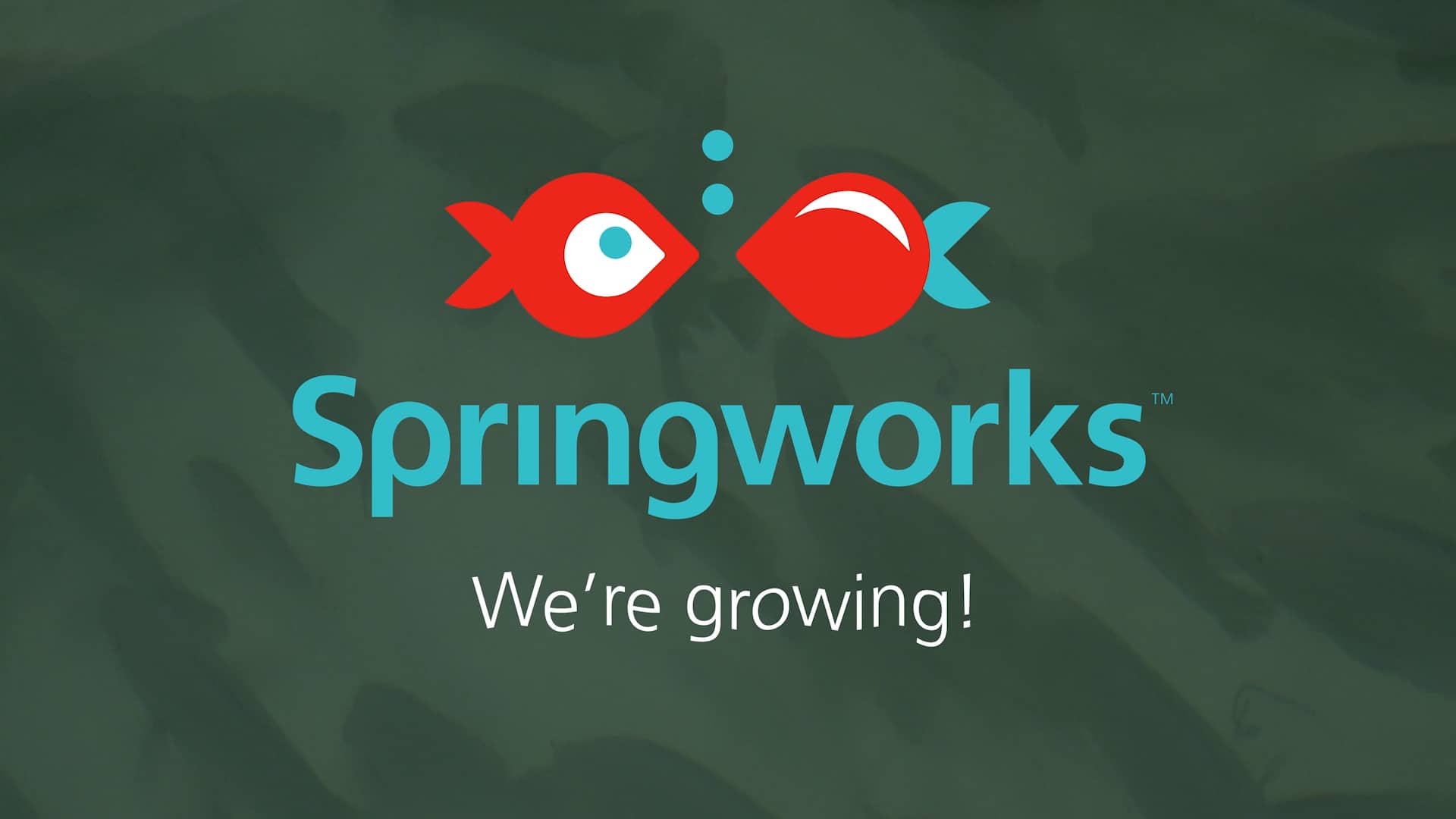 Springworks Farm on Vimeo