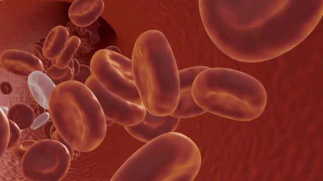 DAY 028 - Sweep NURBS Splines on Vimeo