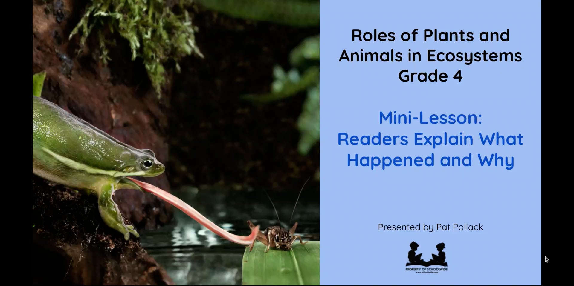 Roles of Plants and Animals in Ecosystems Grade 4 Sample Lesson