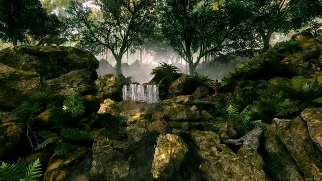 Forest Brook Nature - Free video on Pixabay