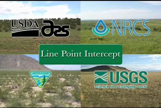 Line-Point Intercept Method on Vimeo