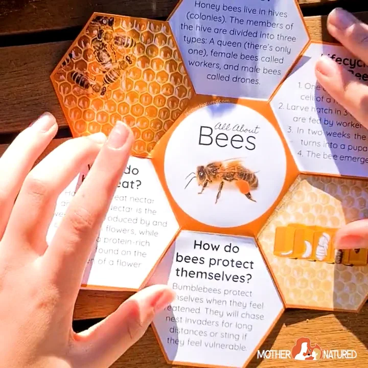 Bumble Bee Printables on Vimeo