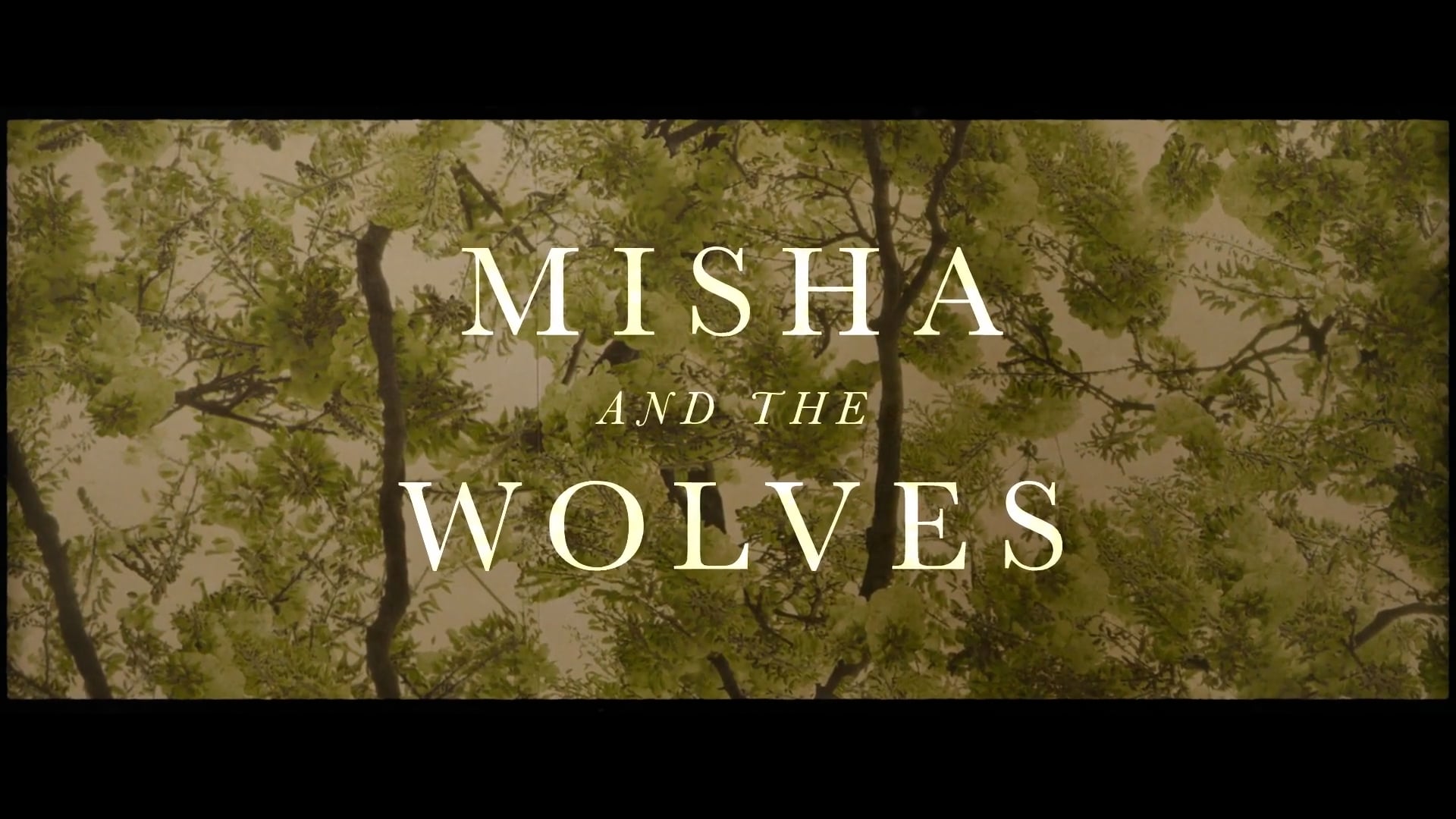 MISHA AND THE WOLVES — Trailer on Vimeo