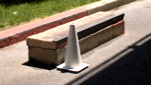 DUNCE