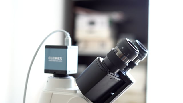 生物研究 Videos: Download 3+ Free 4K & HD Stock Footage Clips - Pixabay