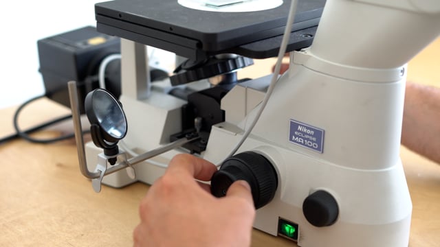 生物研究 Videos: Download 3+ Free 4K & HD Stock Footage Clips - Pixabay