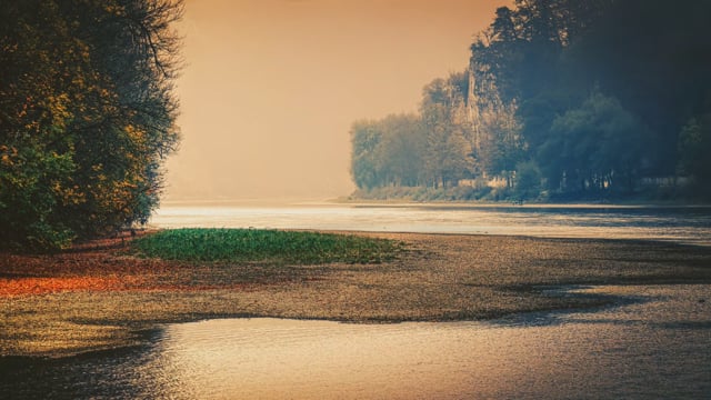 River, Fog, Mist. Free Stock Video - Pixabay