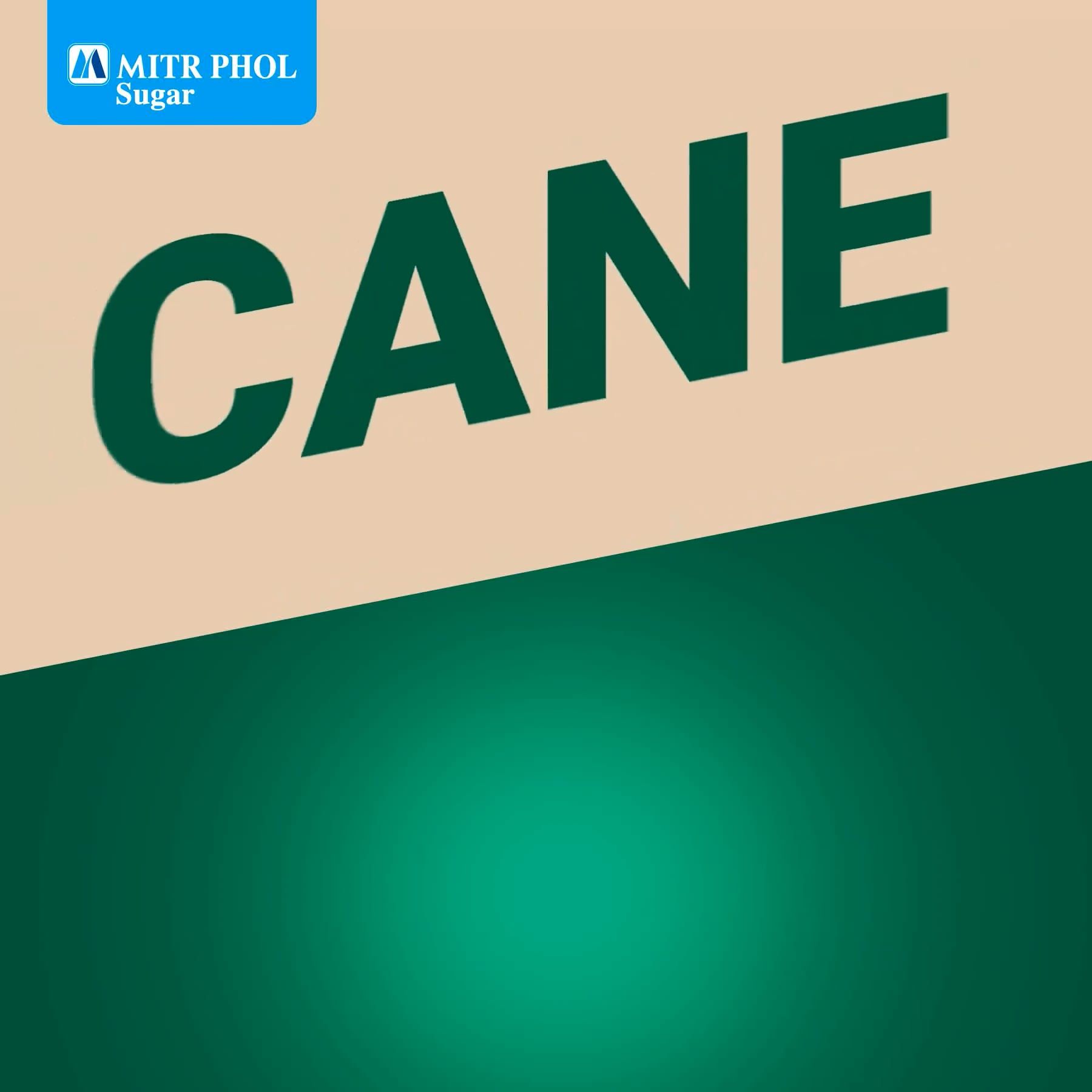 Coconut Sugar.mp4 on Vimeo