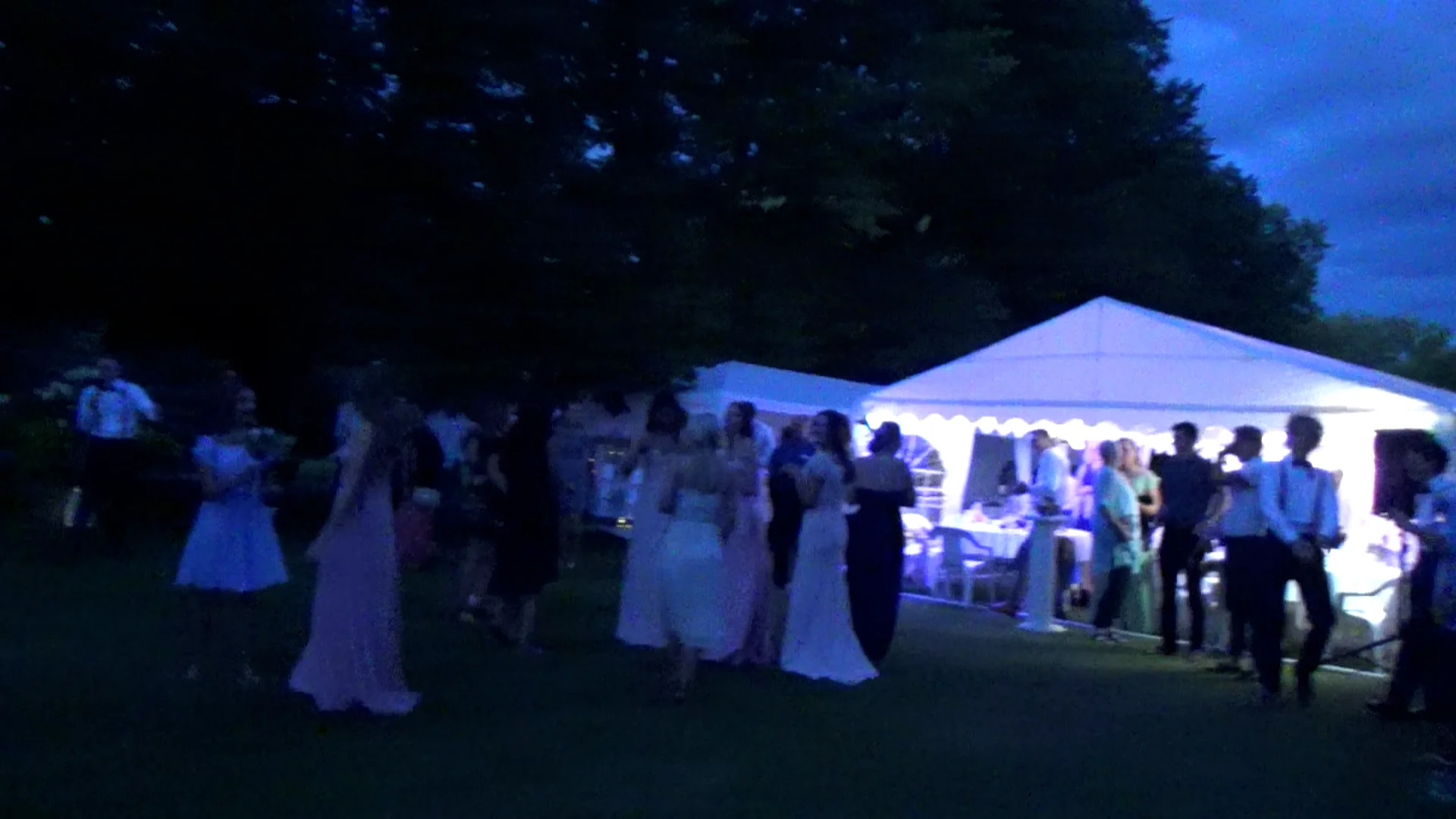 Wedding of Anna-Mae Dean & Caleb Dueck - Caleb & Anna Mae - Bouquet toss on Vimeo
