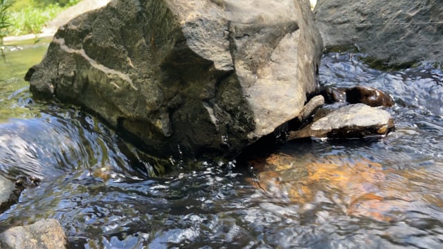 River Creek Rocks - Free video on Pixabay