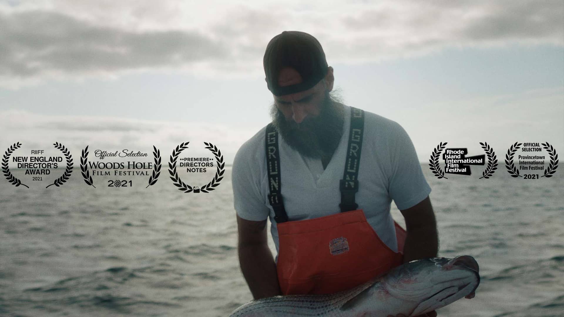 FISH on Vimeo