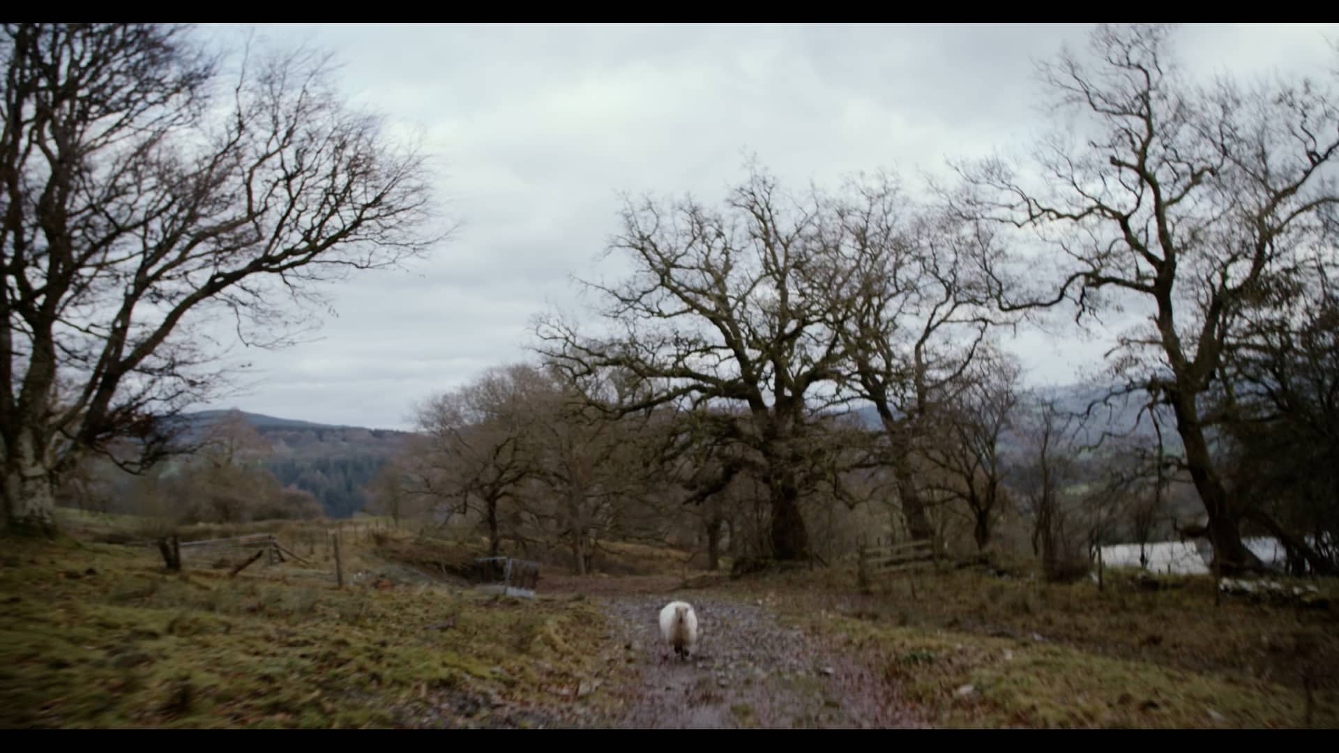 FIELD | Ar y Fferm on Vimeo