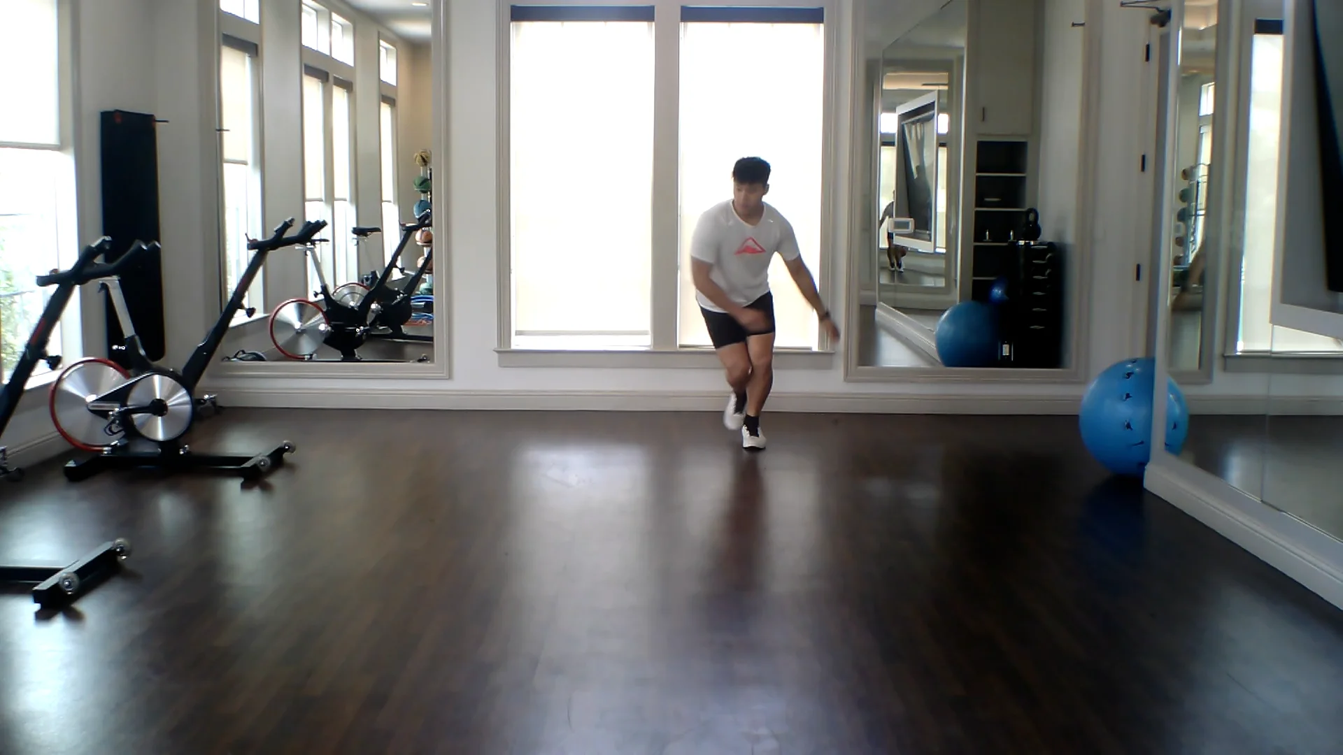 Rotational Jump Stop