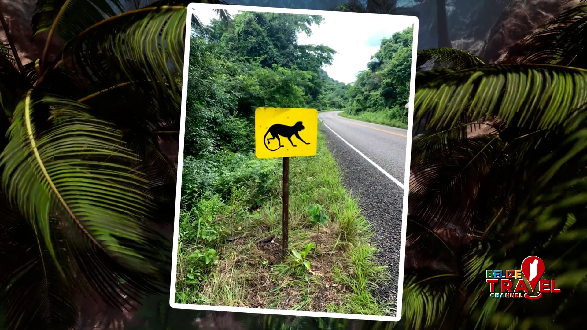 New road signs installed to help prevent vehicle/animal collisions