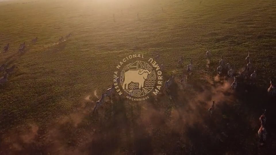 MOZBIO - Reserva Nacional de Marromeu - Contagens (EN) on Vimeo