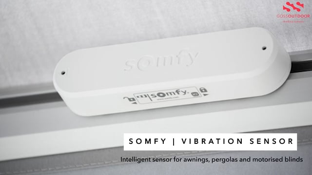 SOMFY | Vibration Sensor - Intelligent Sensor for awnings, pergolas and ...