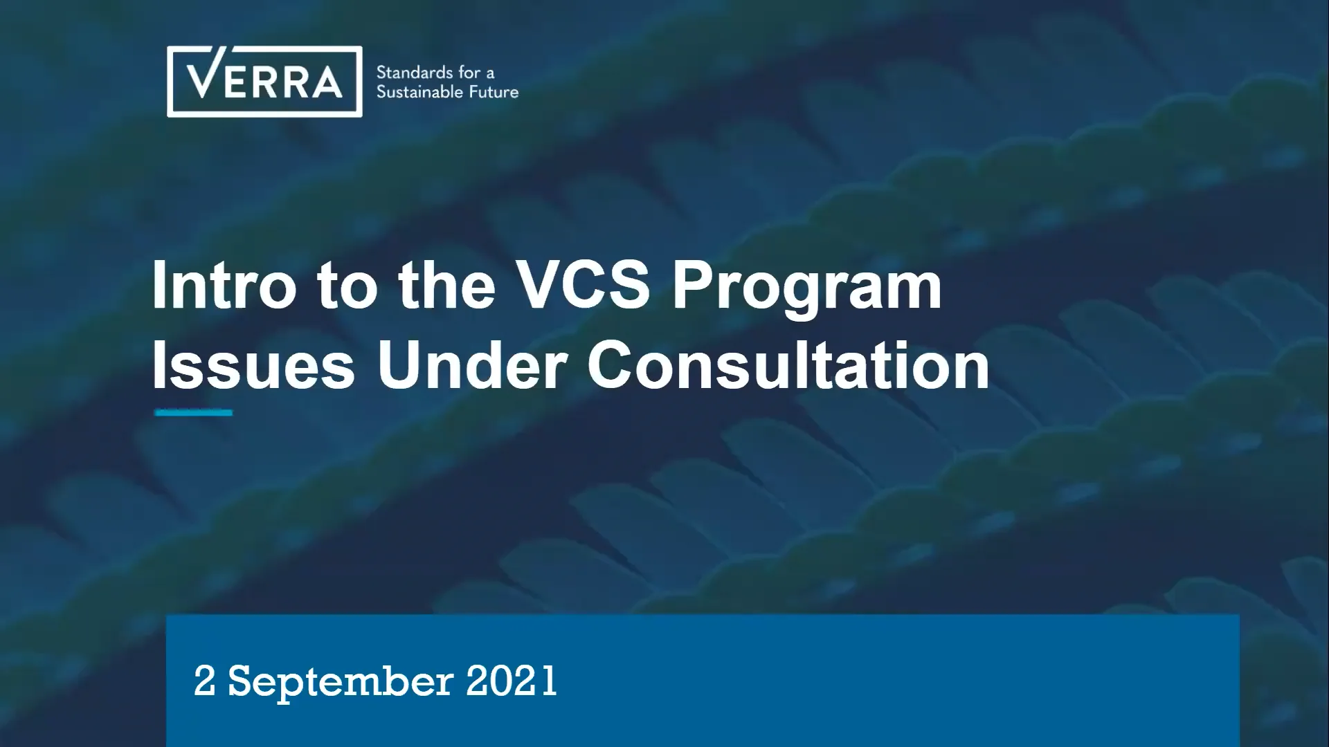 Verified Carbon Standard (VCS) Program Public Consultation September 2021