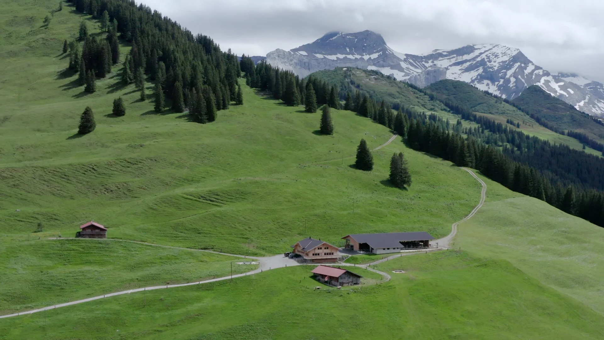 Smartfilme - Expo Bulle 2022 Ausstellerportrait: Gobeli Holstein ...