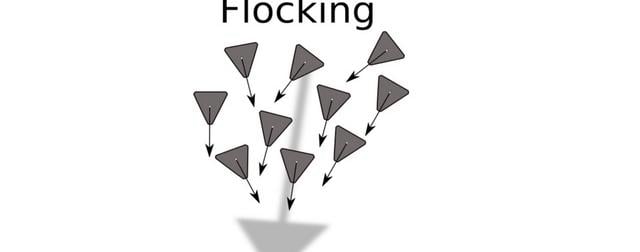 Flocking Behaviour 2D Demo on Vimeo