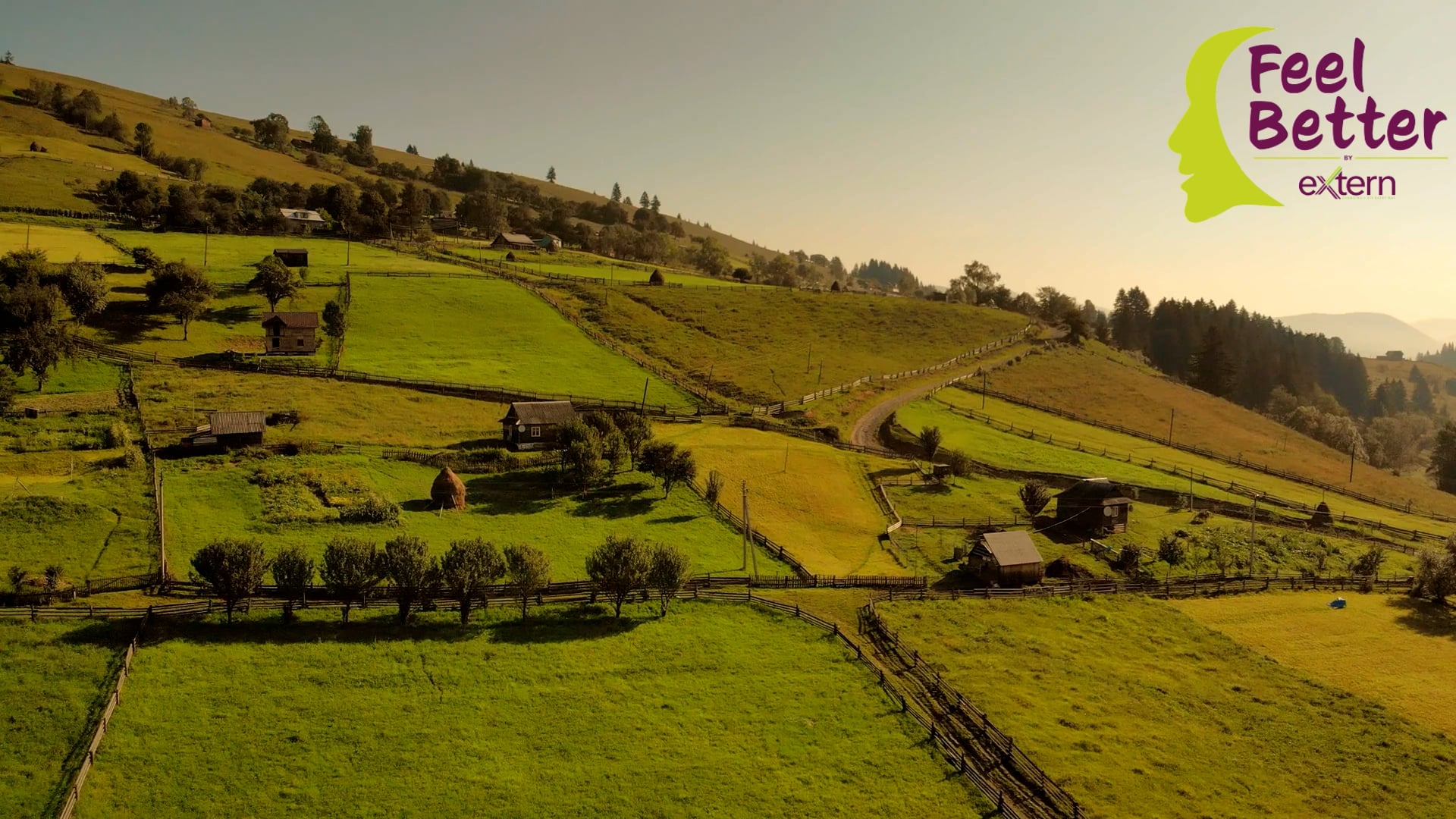 Rural Video V4.mp4 on Vimeo