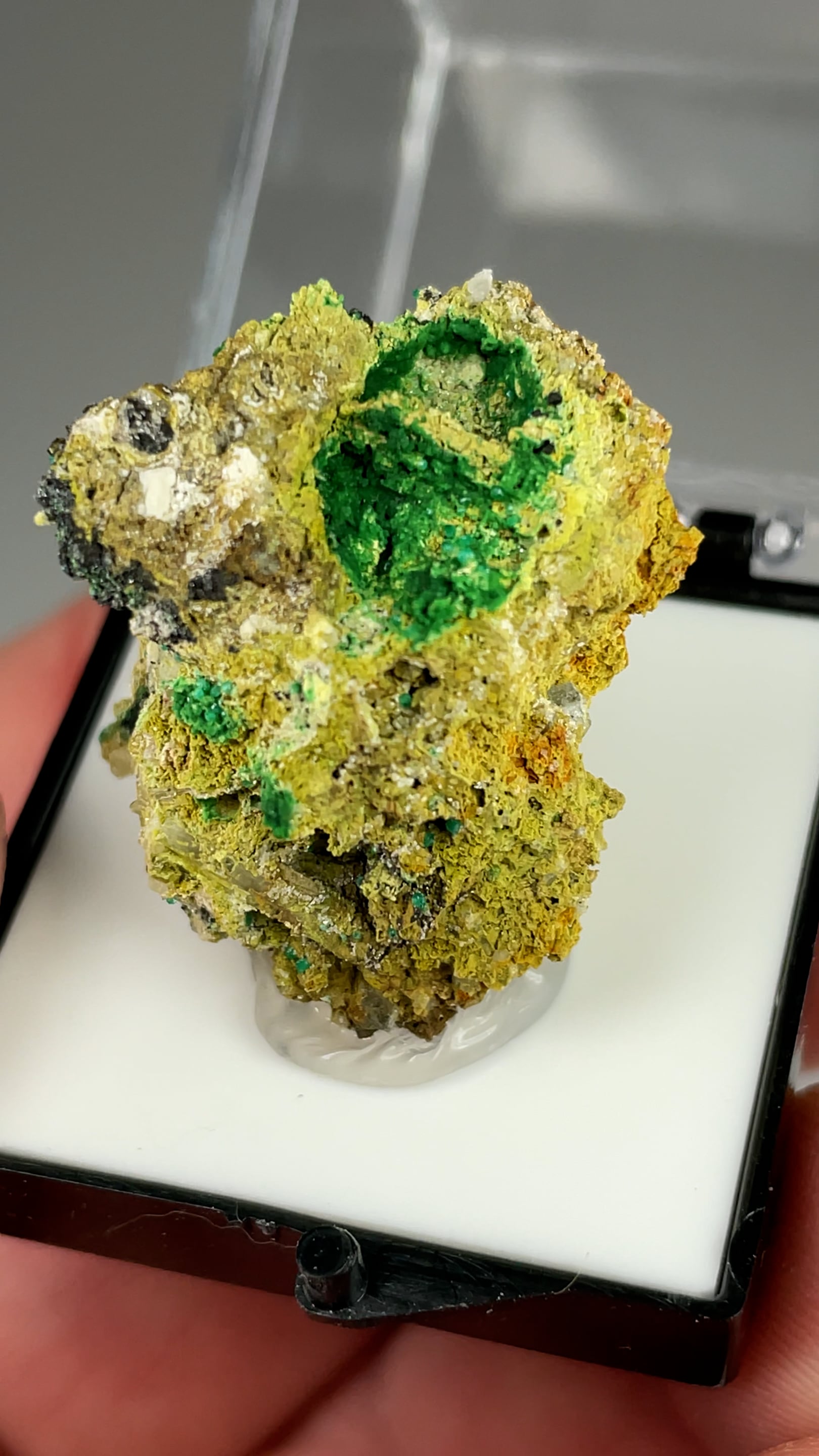 IMG_E2149.MOV on Vimeo