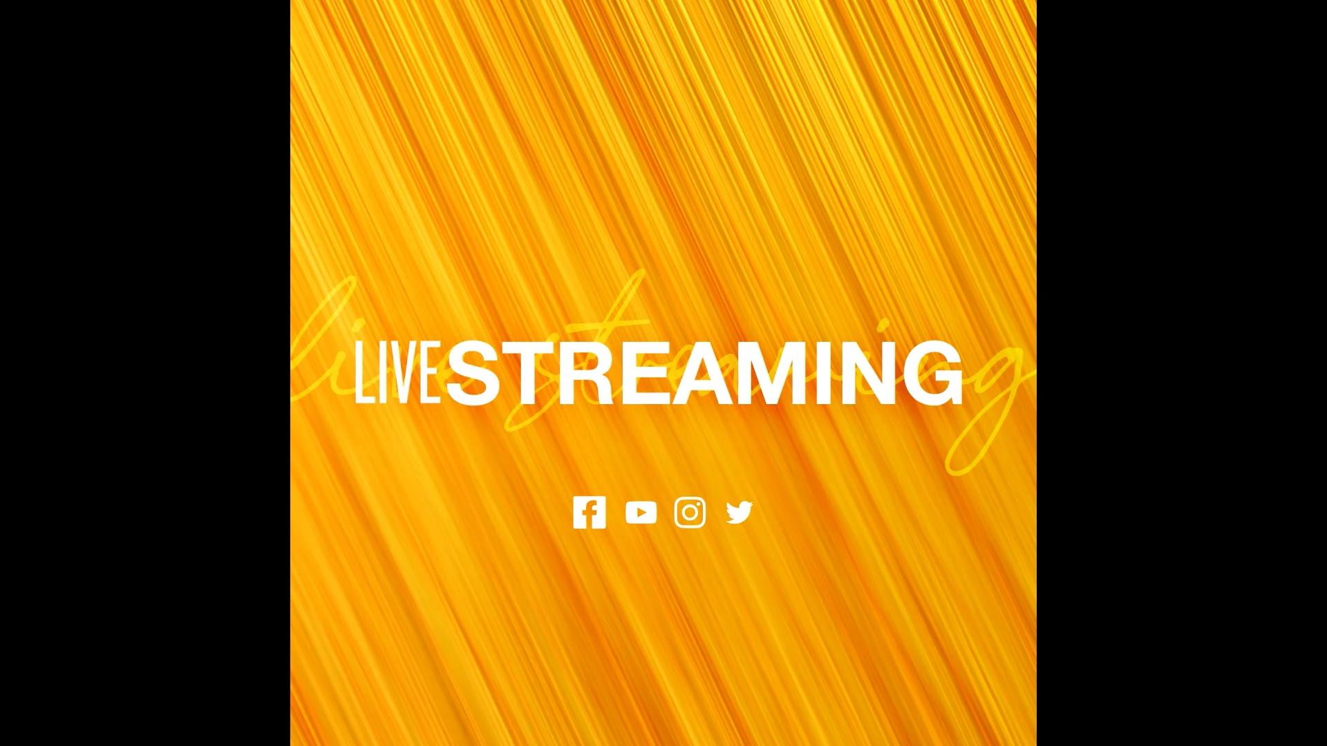 Live Streaming Square.mp4 on Vimeo