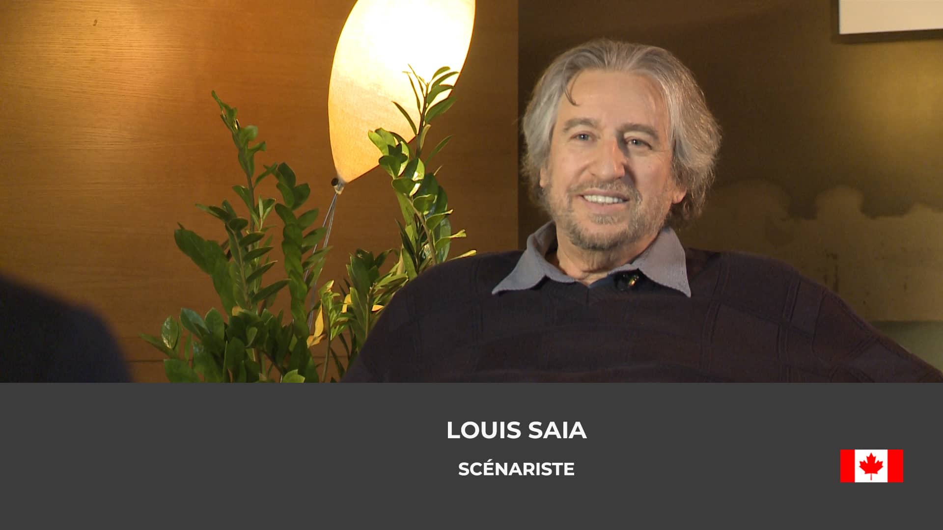 Extrait de l'entrevue avec Louis Saia, scénariste et réalisateur on Vimeo