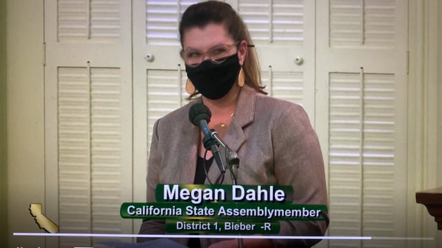 Assemblywoman Megan Dahle - AD01