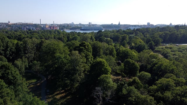 Trees, Ship, Port. Free Stock Video - Pixabay