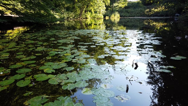 Un Videos: Download 12+ Free 4K & HD Stock Footage Clips - Pixabay