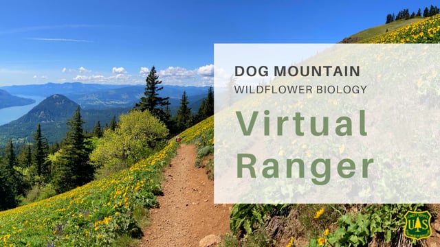 Do You Need A Permit To Hike Dog Mountain