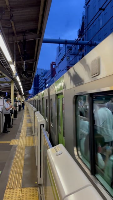 Tokyo Videos: Download 44+ Free 4K & HD Stock Footage Clips - Pixabay