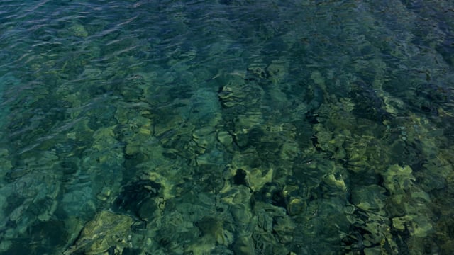 Sea Wave Green - Free video on Pixabay