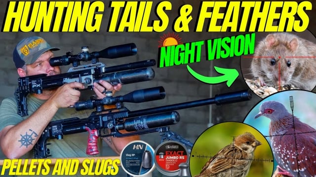 AIR GUN HUNTING TAILS AND FEATHERS I RAT HUNTING WITH AIR RIFLE I ...