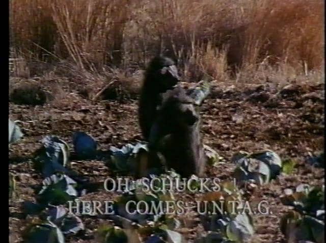 OH SCHUCKS HERE COMES UNTAG! (Feature film) on Vimeo