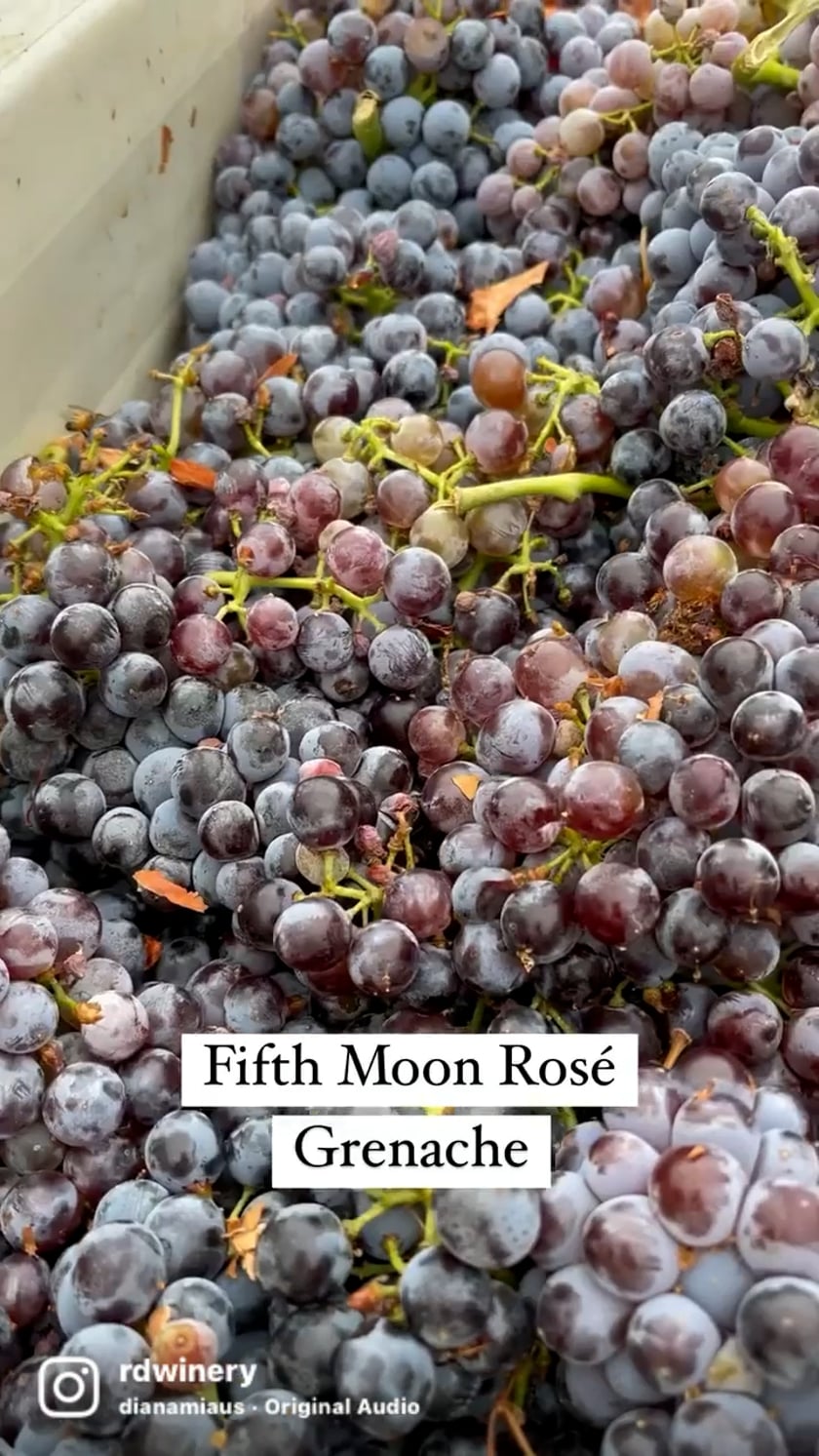 Rosé: From Grape to Juice - rdwinery