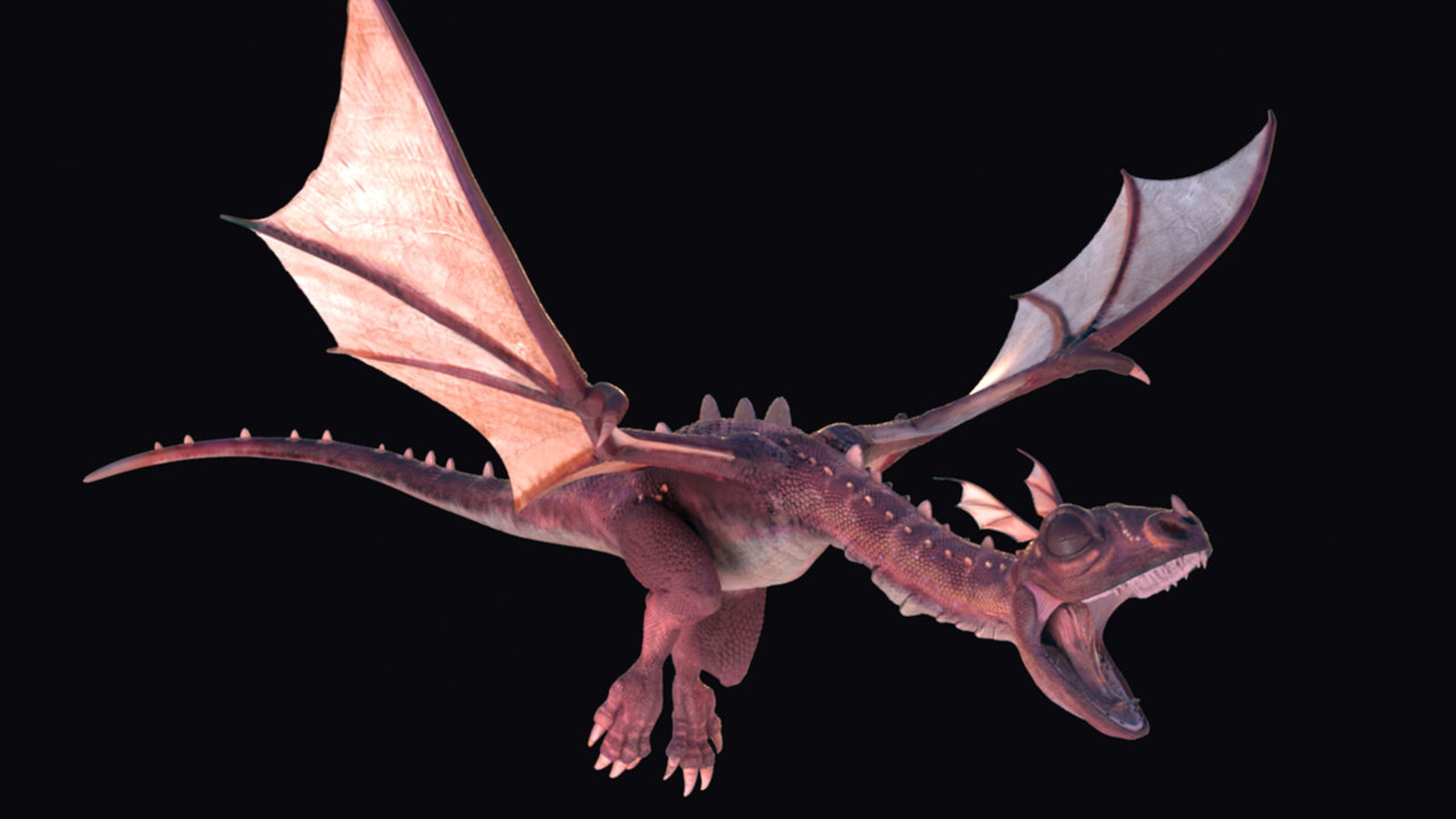 lil Dragon | Videos & Movies on Vimeo