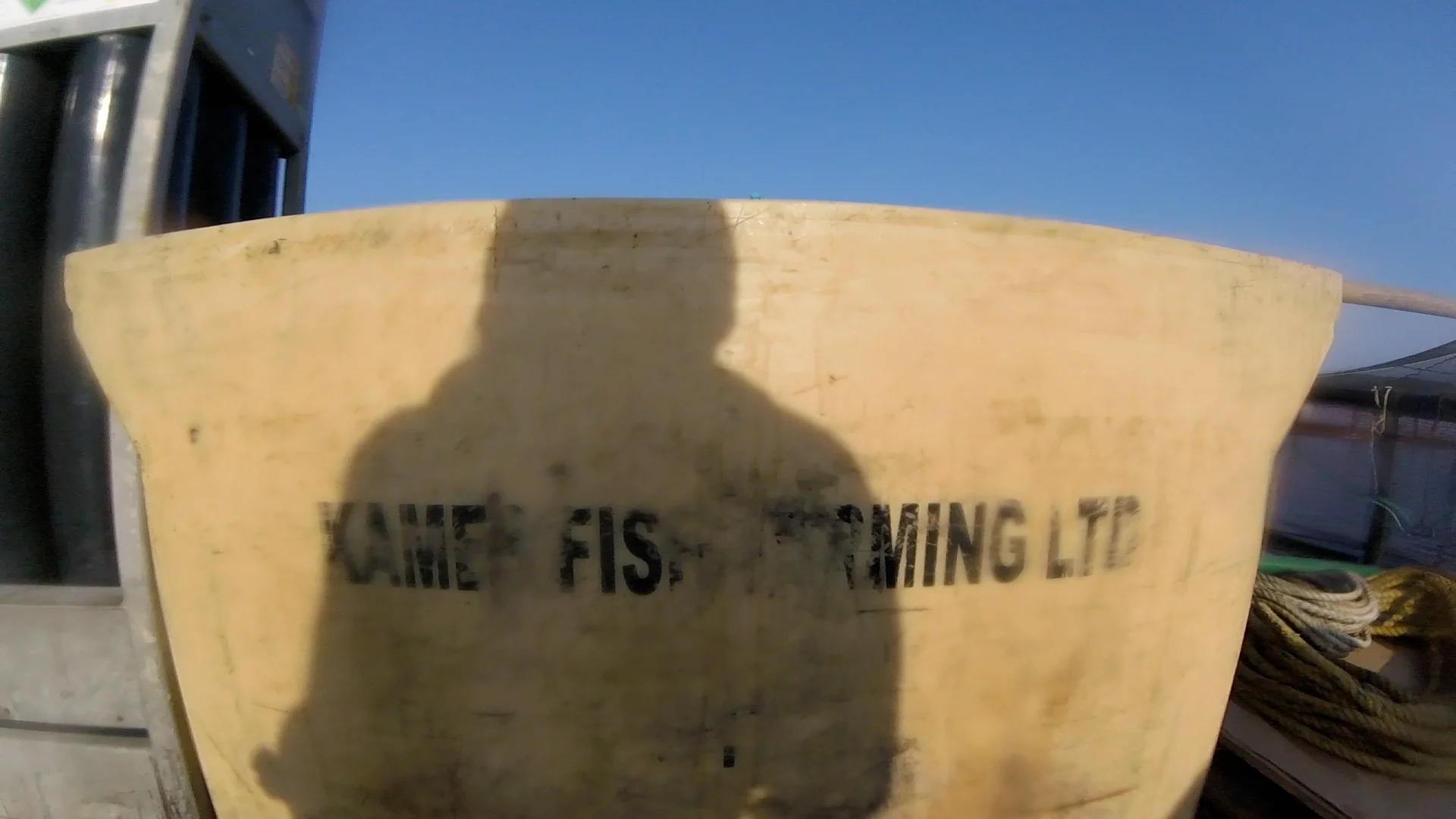 RSPCA Assured Kames Fish Farming - mass mortalities at Shuna Castle in ...