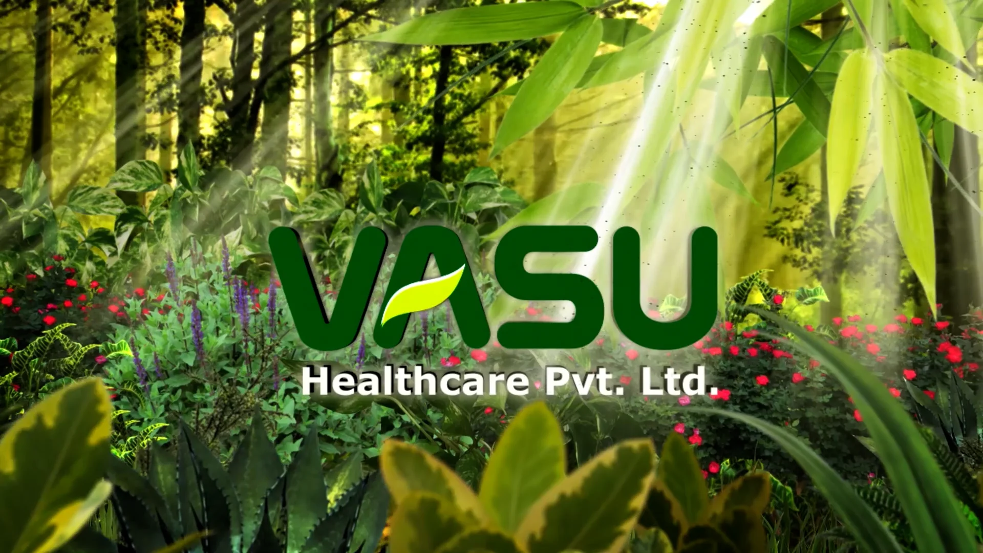 Vasu Healthcare - India's Leading Ayurvedic & Herbal Cosmetic ...
